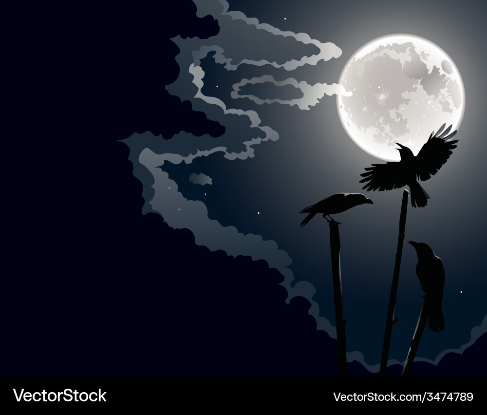 Night crows Royalty Free Vector Image - VectorStock