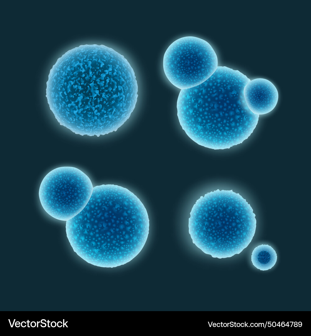 Set of cocci bacteria Royalty Free Vector Image