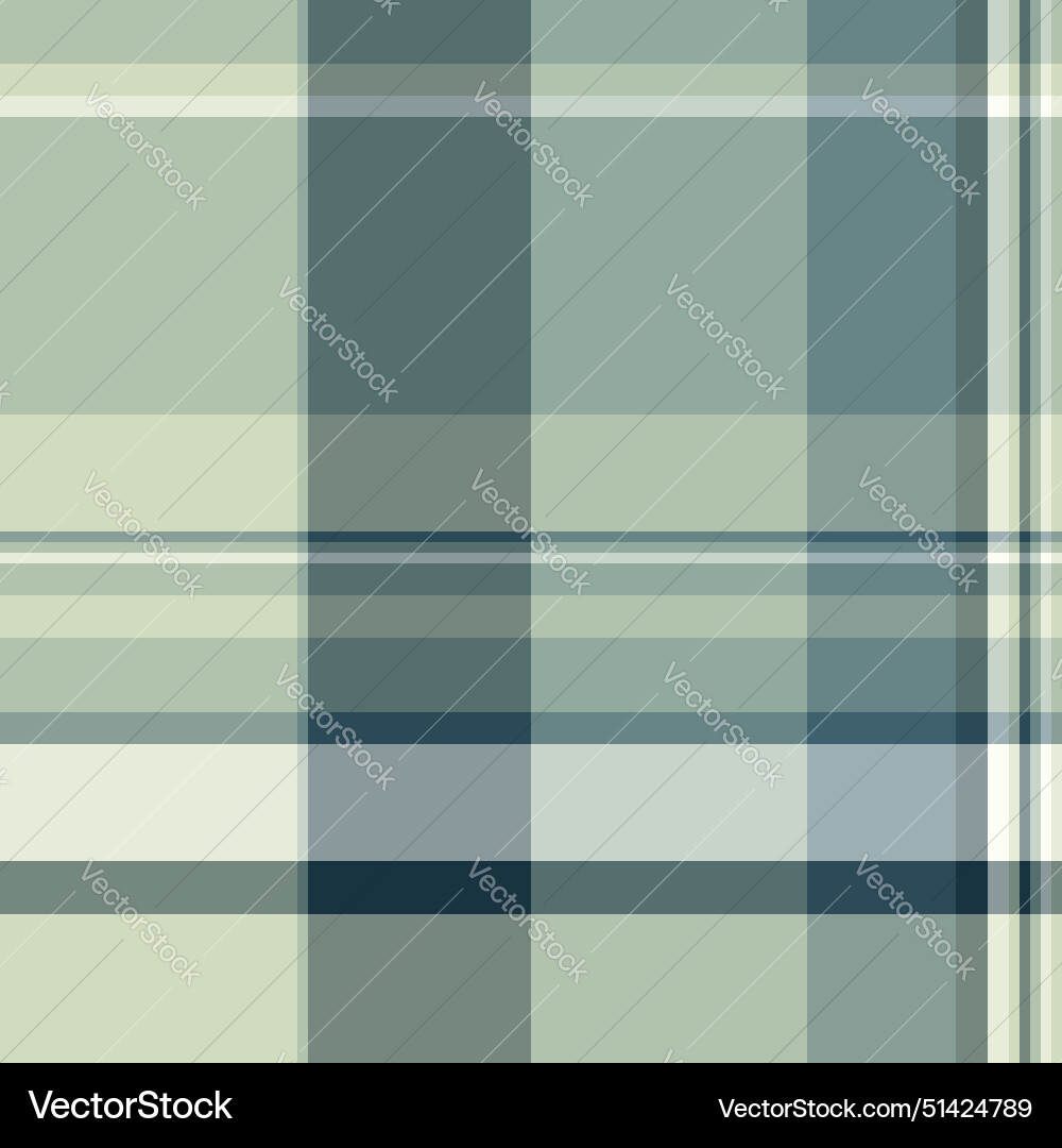 Tartan seamless of check texture background Vector Image