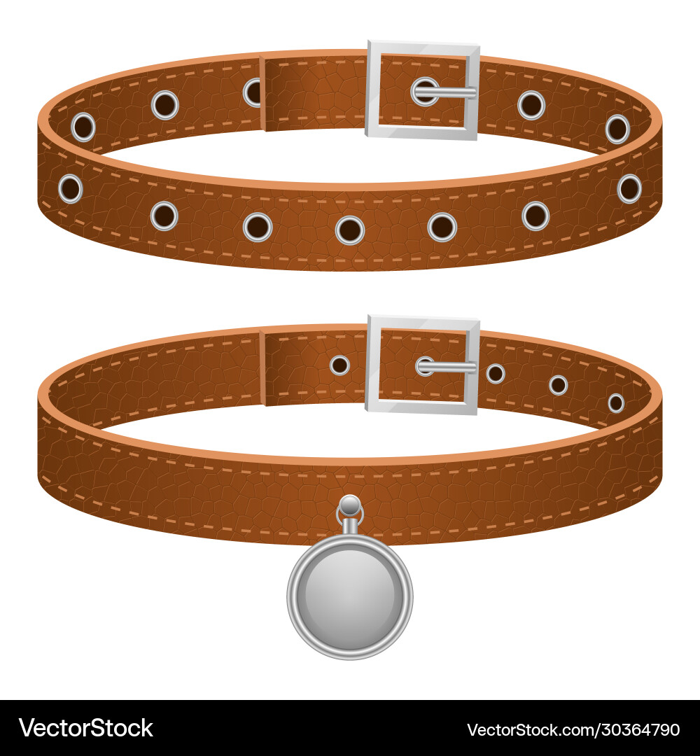 Dog leather belt Royalty Free Vector Image - VectorStock