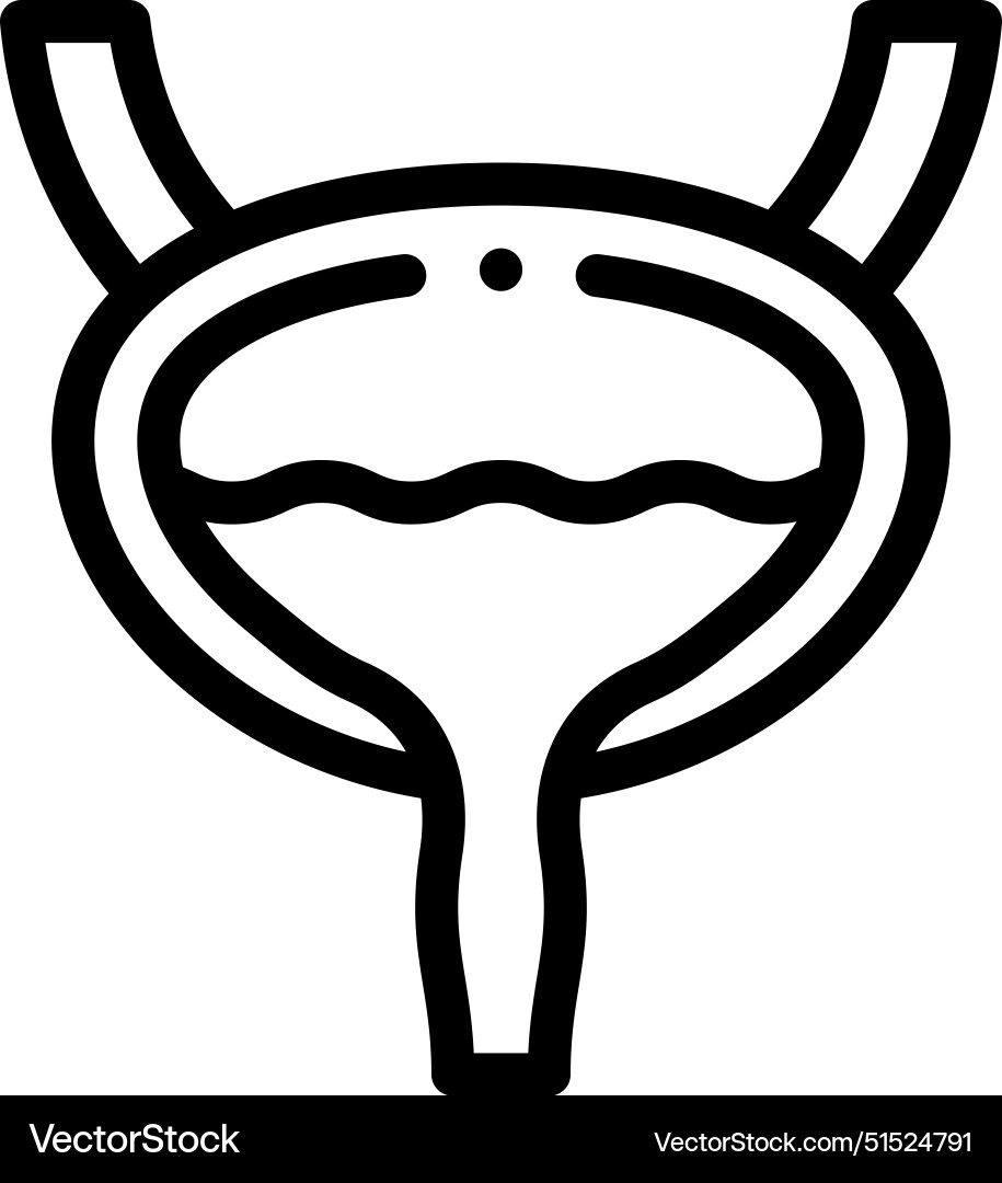 Bladder icon thin linear style design isolated Vector Image