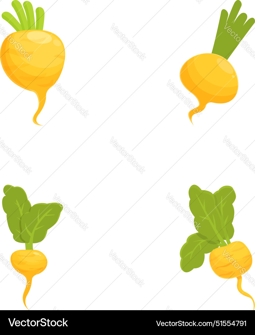 Colorful root vegetables collection Royalty Free Vector