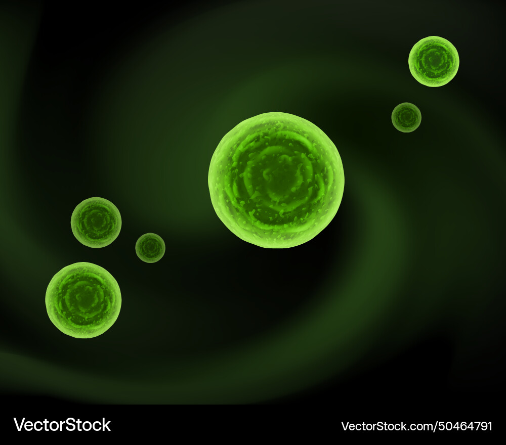 Sphere bacteria cells Royalty Free Vector Image