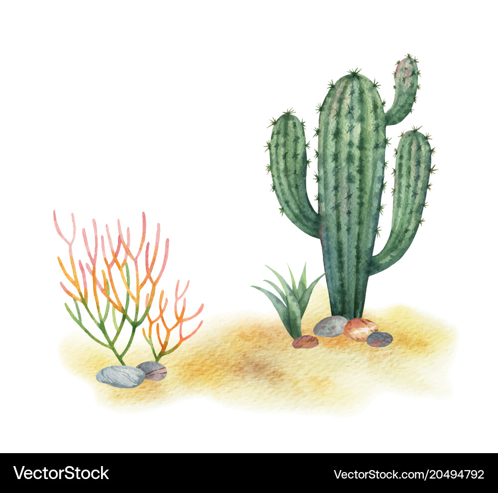 Watercolor background with desert and cacti Vector Image