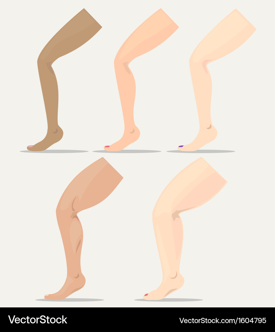 Leg Royalty Free Vector Image - VectorStock