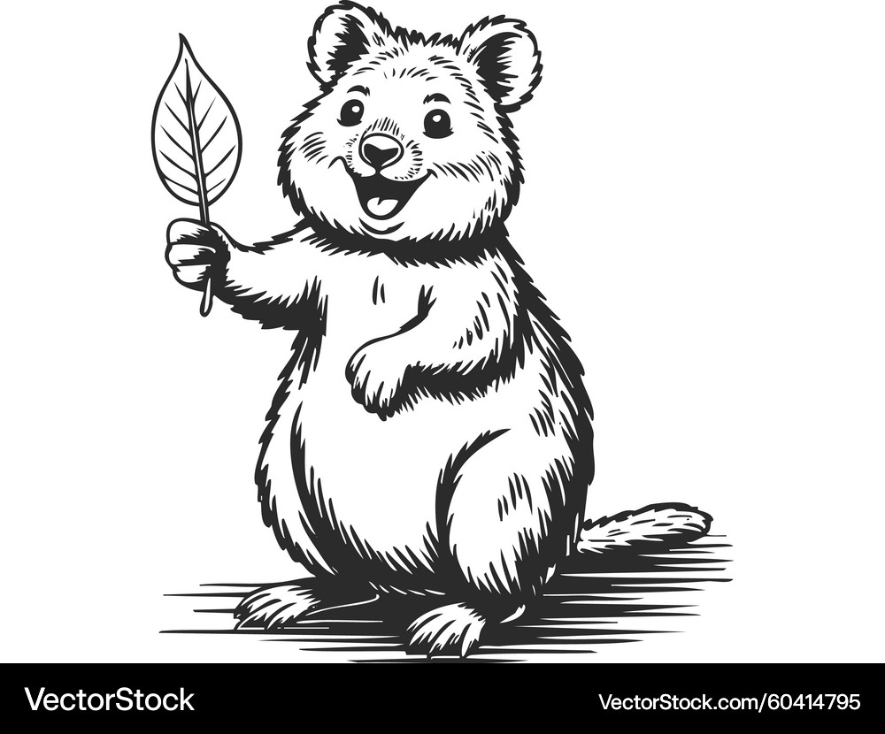 Smiling Quokka with Leaf Royalty Free Vector Image