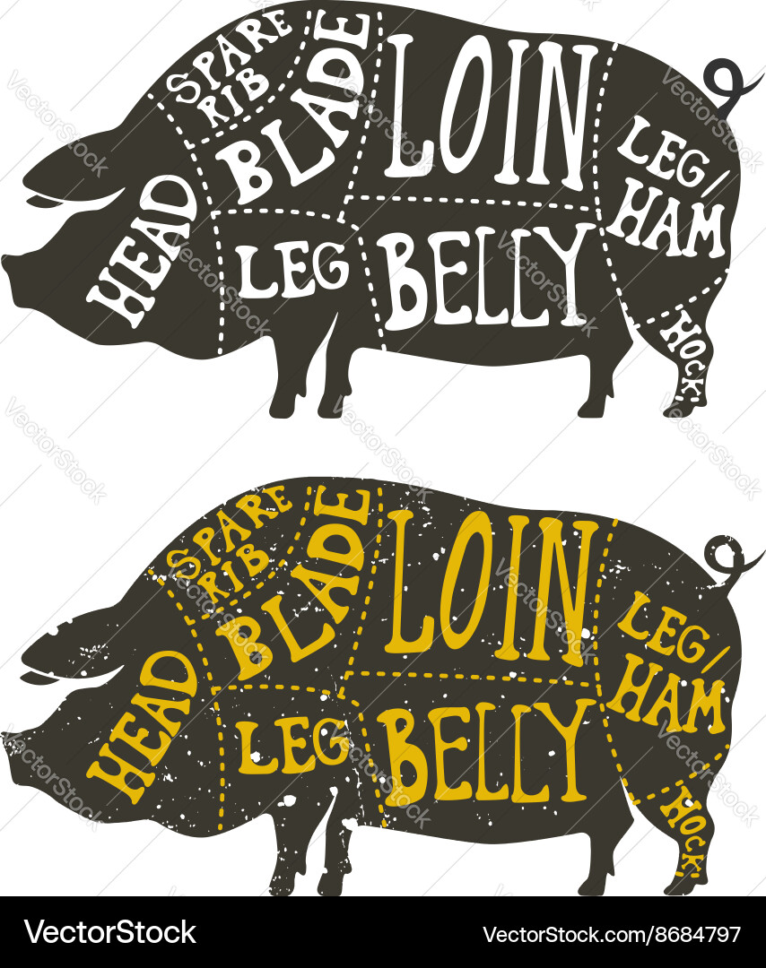Pork meat cuts Royalty Free Vector Image - VectorStock