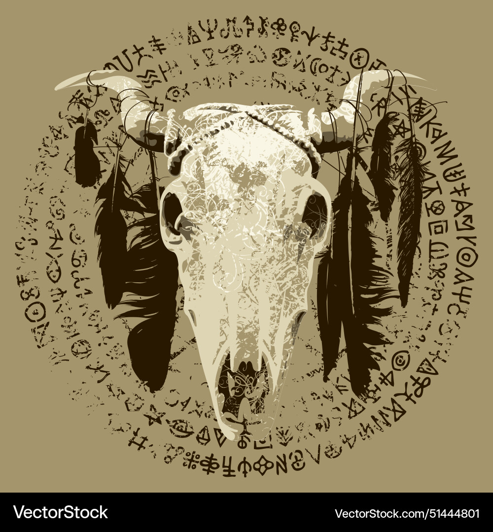 Horned cow or bull skull with crow feathers Vector Image