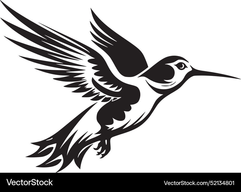 Hummingbird - black and white Royalty Free Vector Image