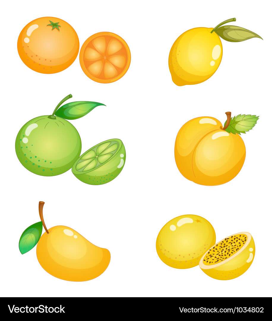 Fruits Royalty Free Vector Image - VectorStock