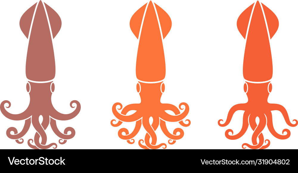 Squid Royalty Free Vector Image - VectorStock