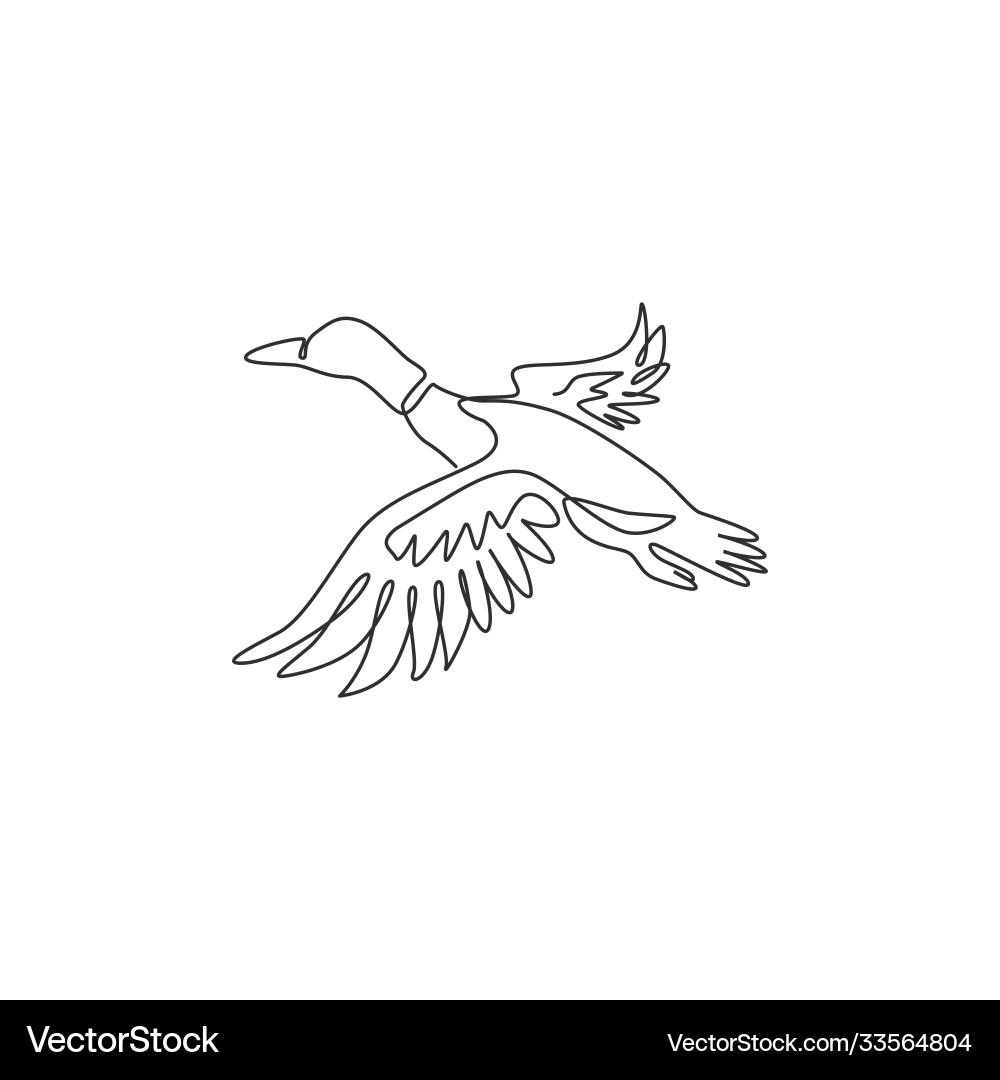 Adorable Flying Duck Line Art Royalty Free Vector Image