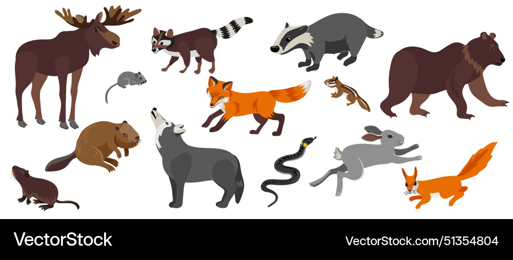 Drawing forest animals Royalty Free Vector Image