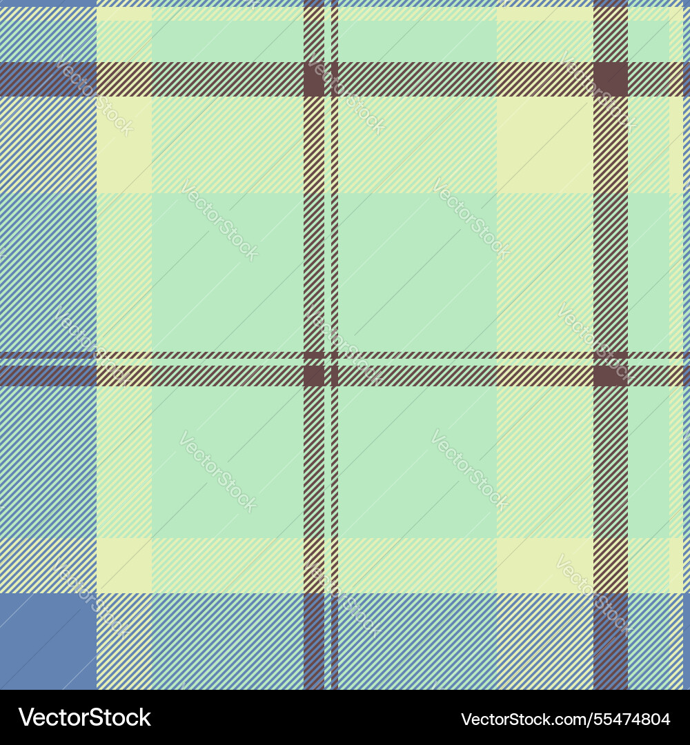 Filigree fabric plaid tartan string check Vector Image