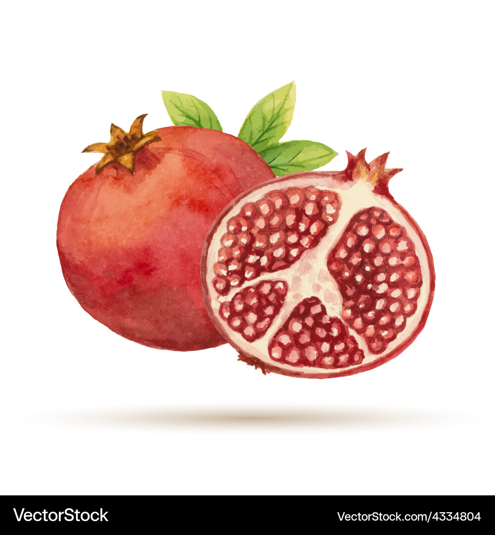 Garnet Royalty Free Vector Image - VectorStock