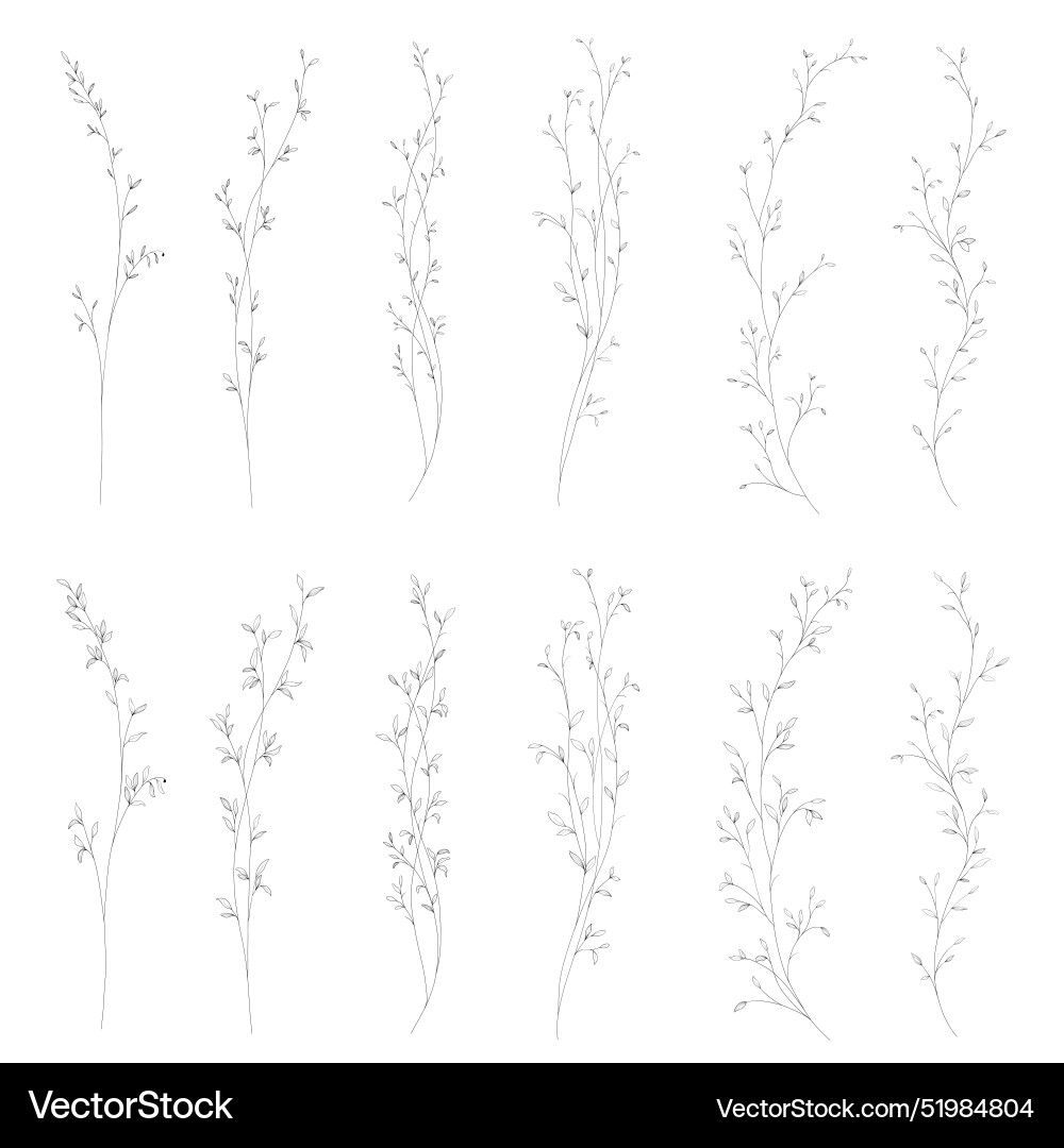 Set of small botanical leaves branches with hand Vector Image