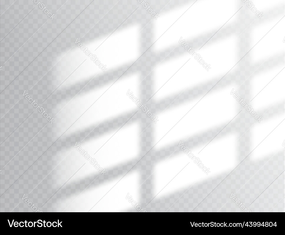 Grid Overlay Transparent Vector Images (over 680)