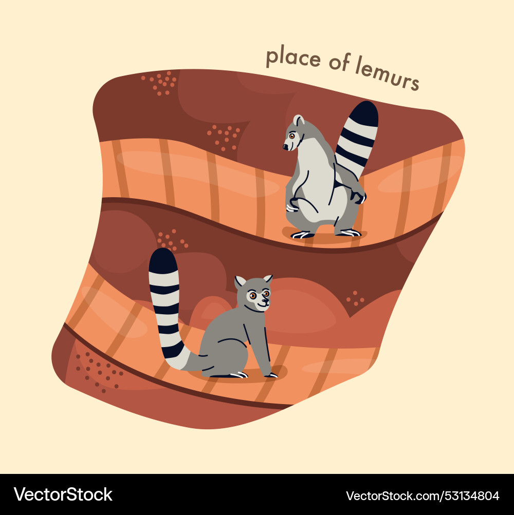 Zoo map two lemurus at branch adorable furry Vector Image