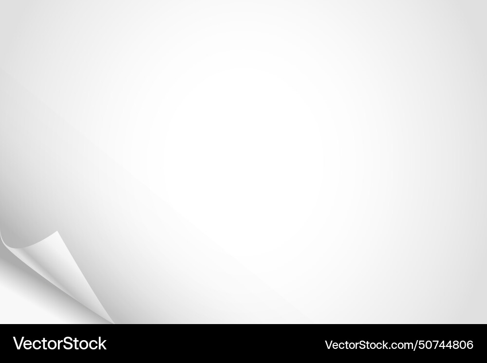 Blank paper sheet with bending left bottom corner Vector Image