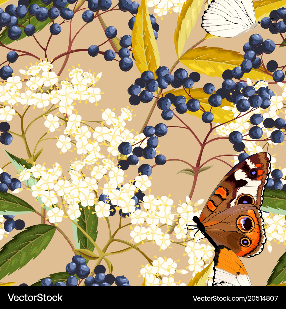 Elderberry seamless pattern Royalty Free Vector Image