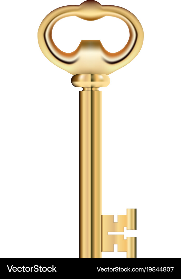 Elegant Golden Key Royalty Free Vector Image - VectorStock