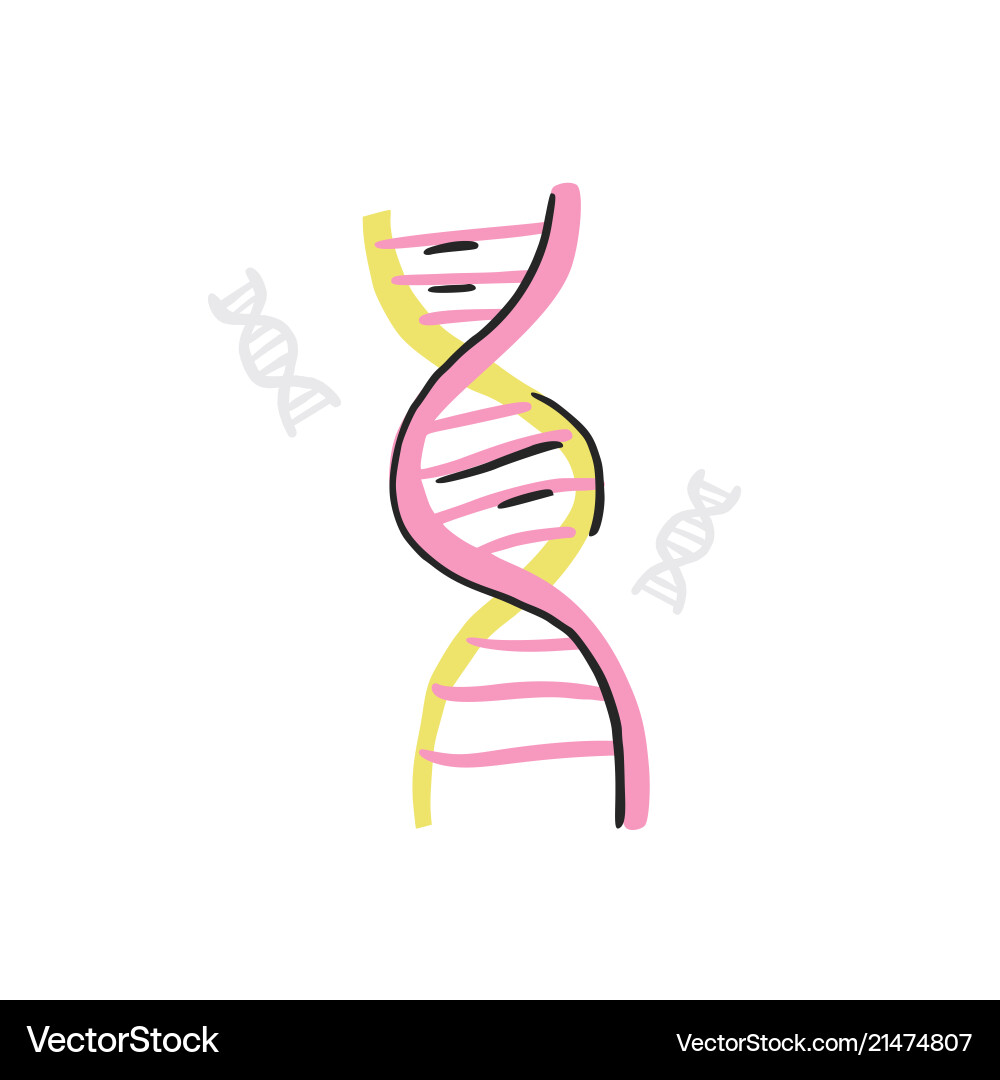 Human genome project Royalty Free Vector Image