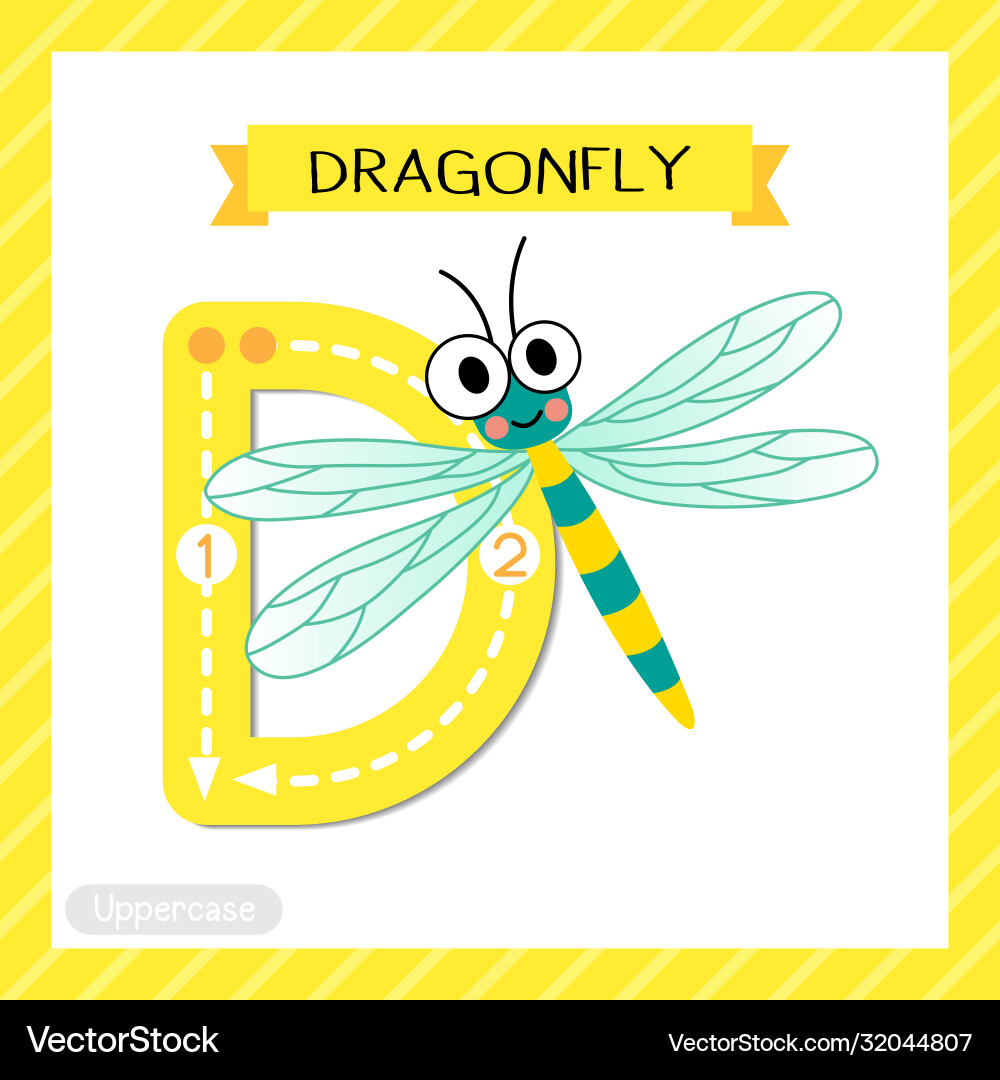 Letter d uppercase tracing dragonfly insect Vector Image