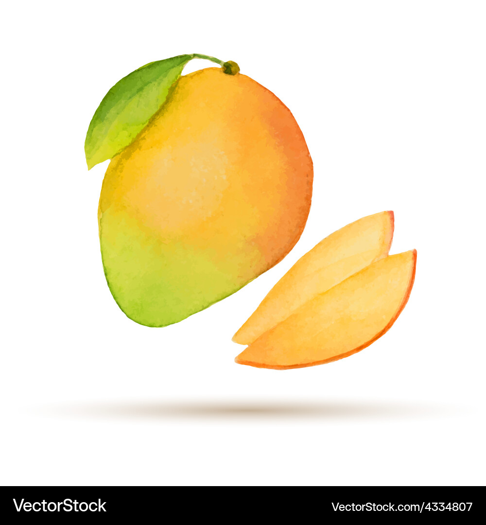 Mango Royalty Free Vector Image - VectorStock