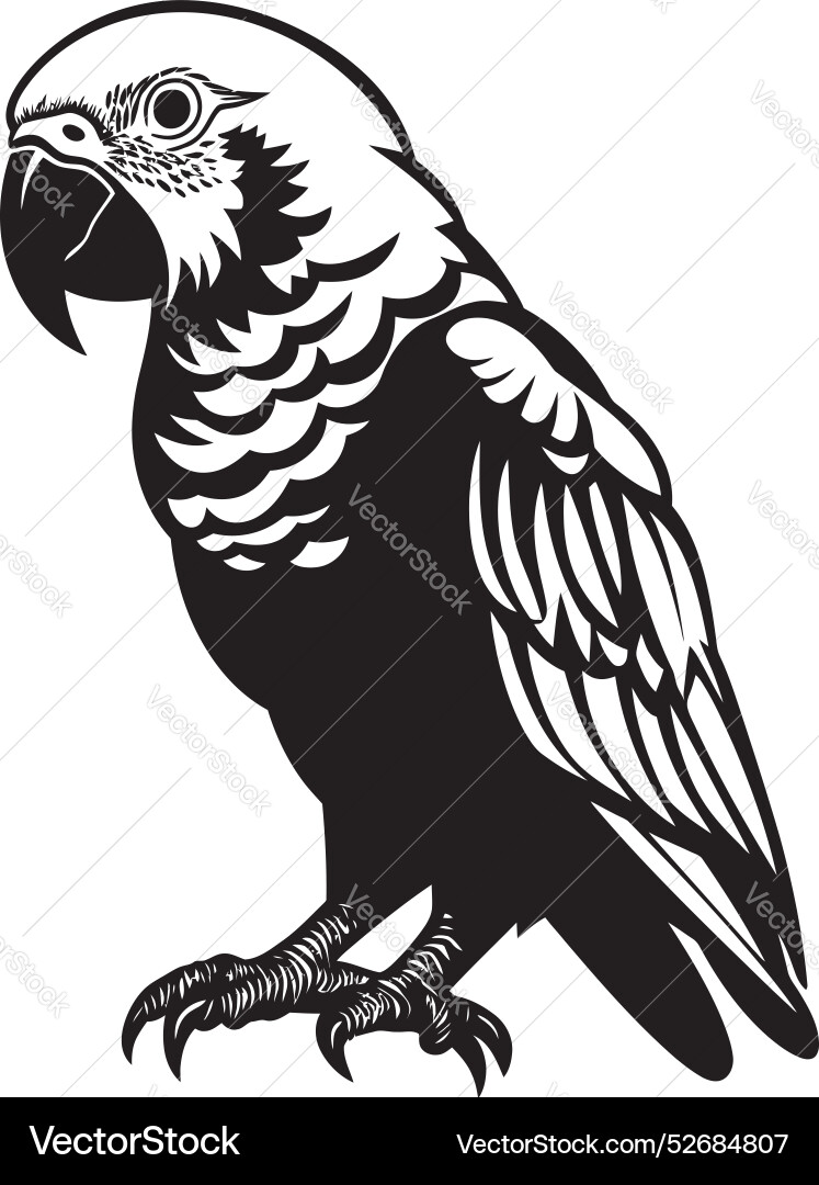 Mystical masquerade intriguing silhouette mask Vector Image