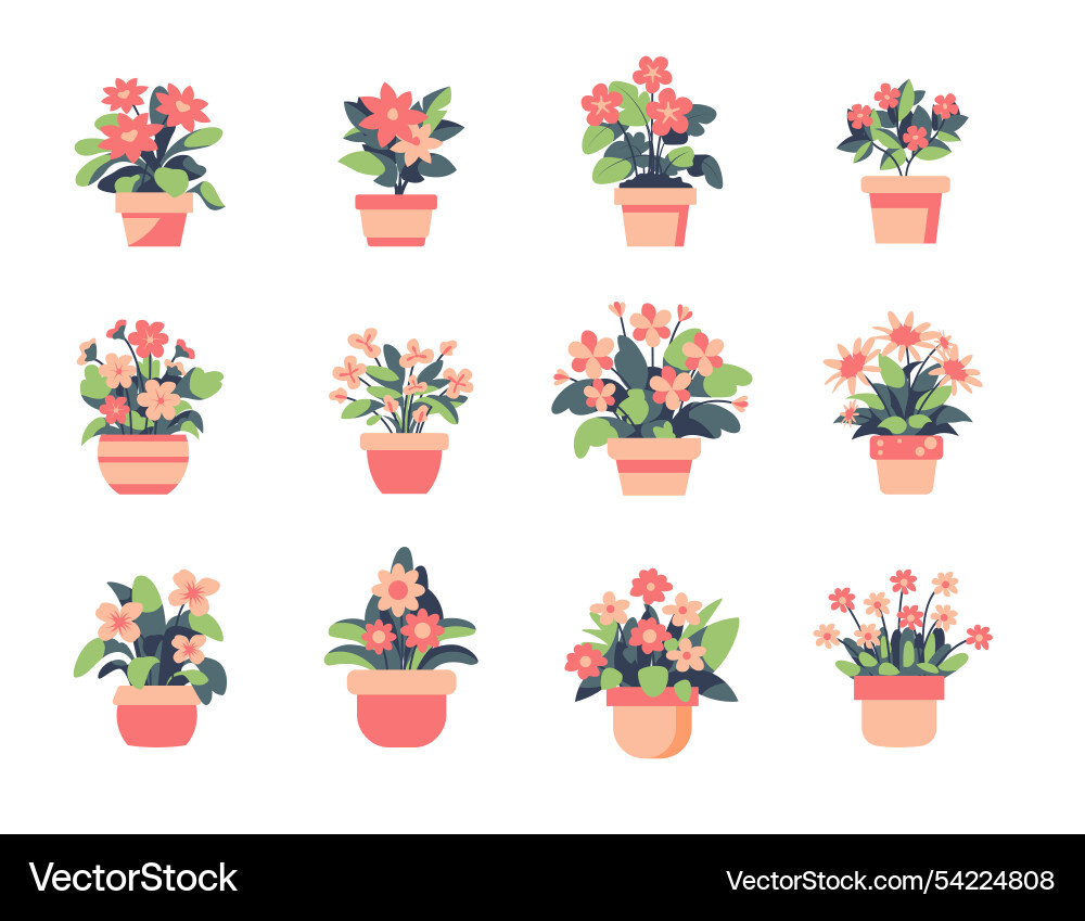 Cute flowers in a pot set Royalty Free Vector Image