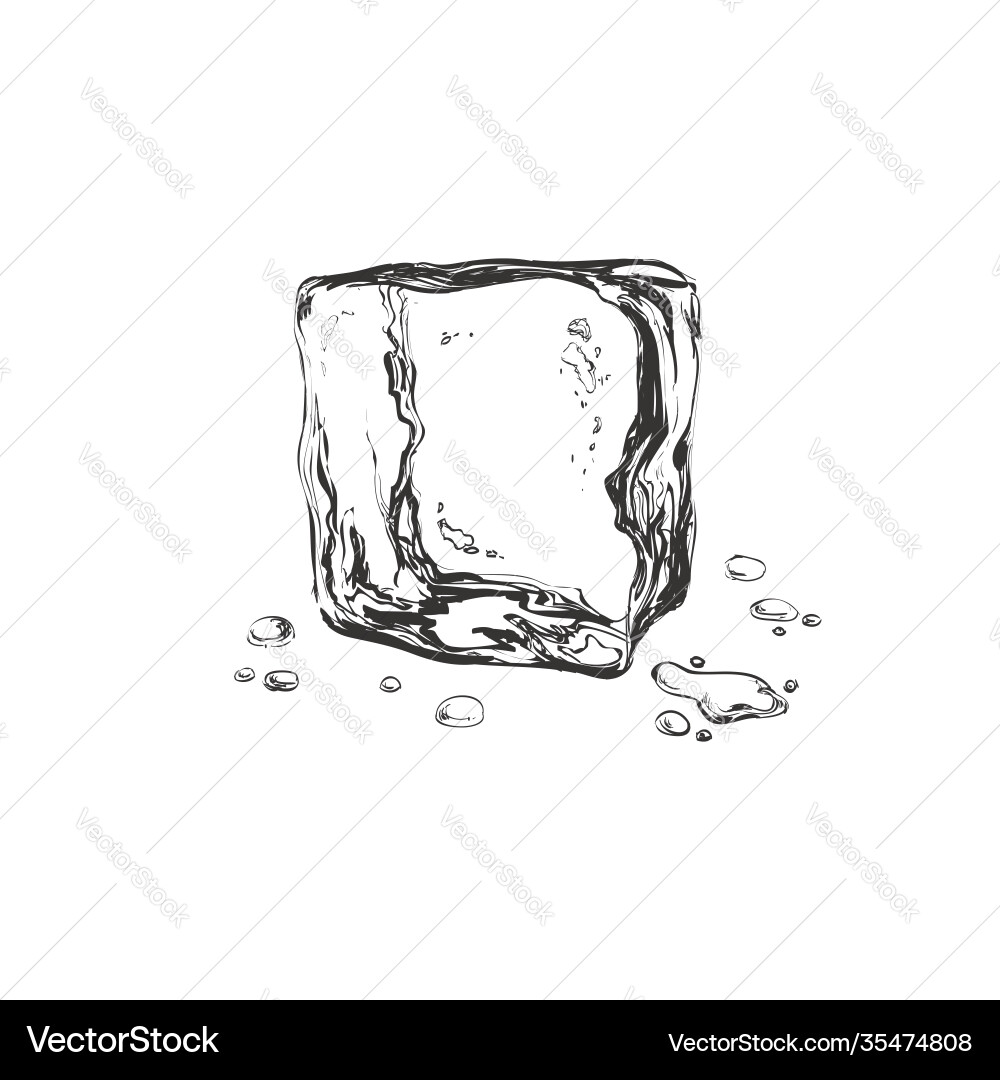 Hand draw ice cuben Royalty Free Vector Image - VectorStock