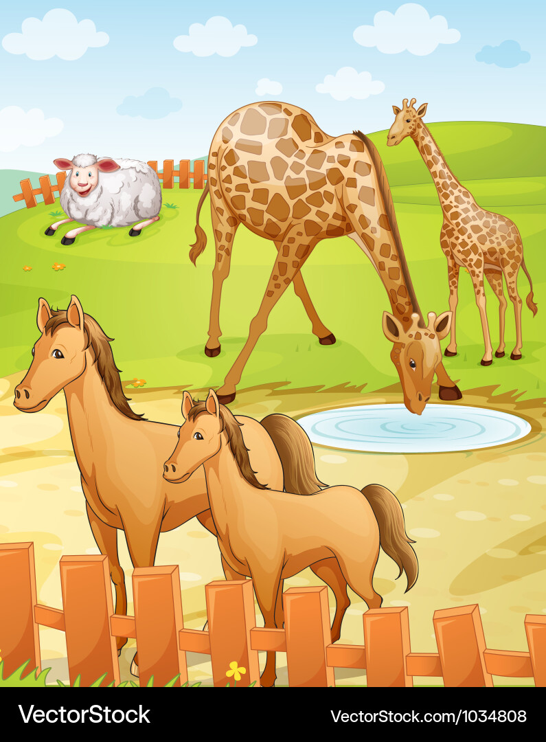 Various animals Royalty Free Vector Image - VectorStock