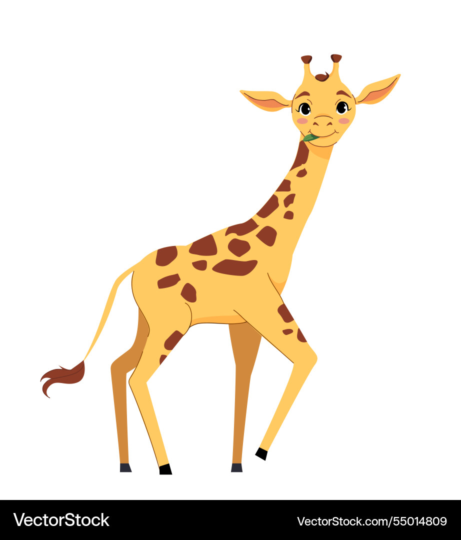 Cute giraffe Royalty Free Vector Image - VectorStock