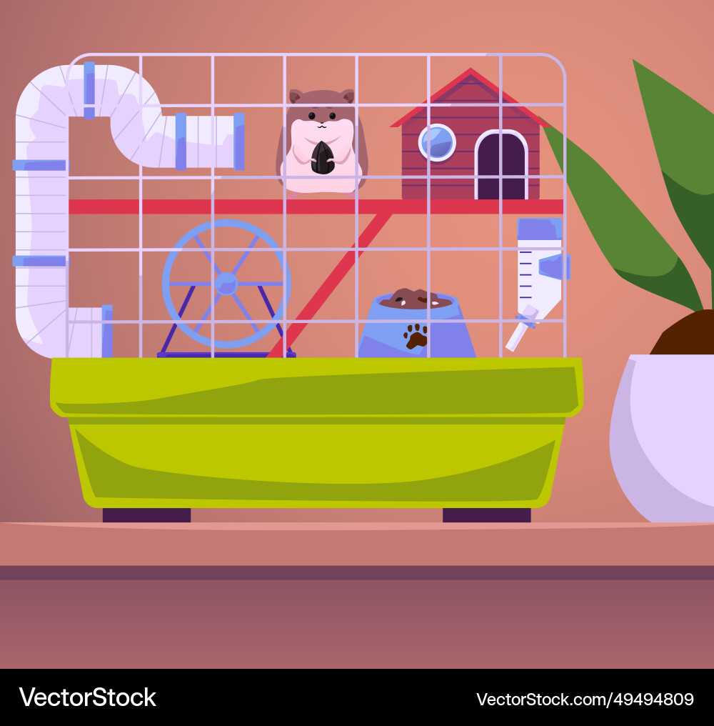 Hamster or rat pet cage with additions for pets Vector Image