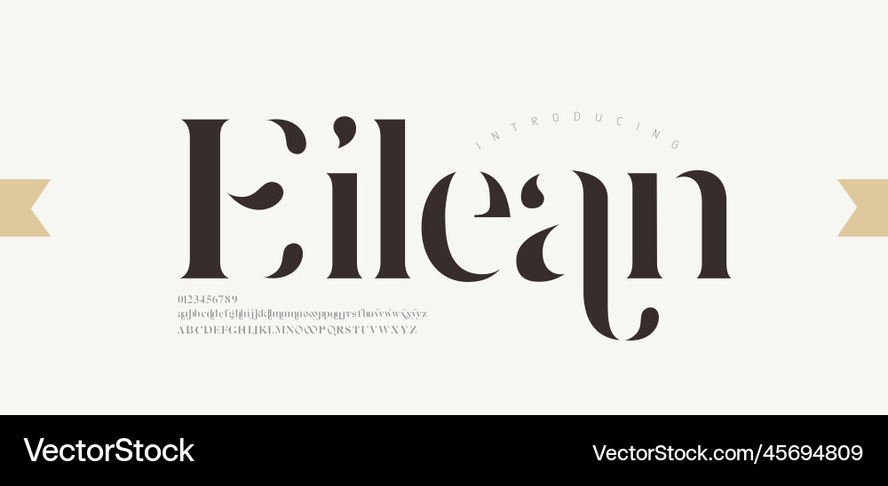 Luxury alphabet letters font typography elegant Vector Image