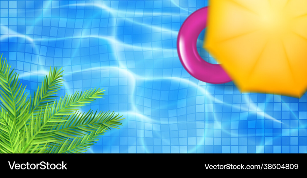 Swimming pool top view Royalty Free Vector Image