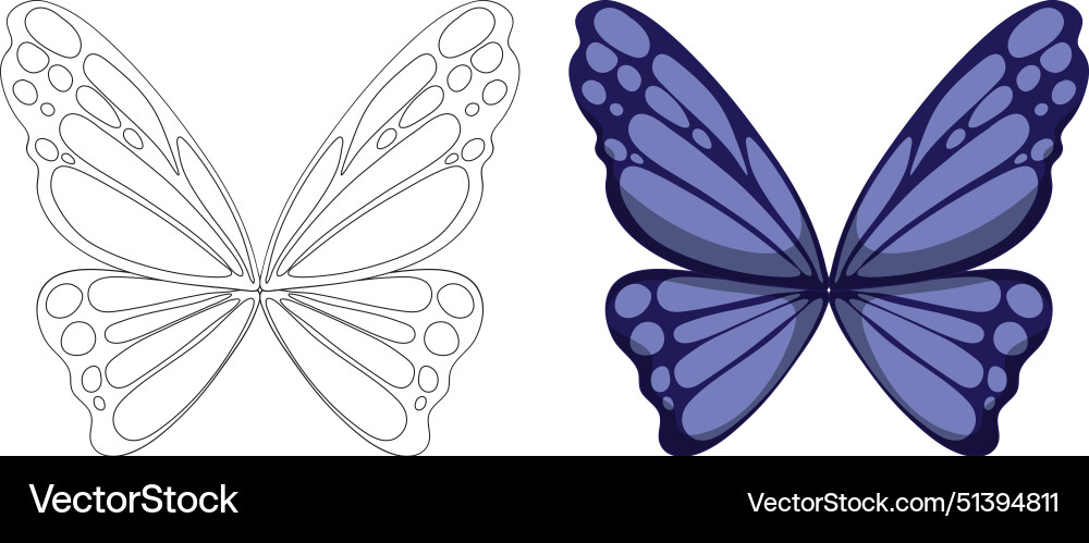 Outline and colored butterfly side Royalty Free Vector Image