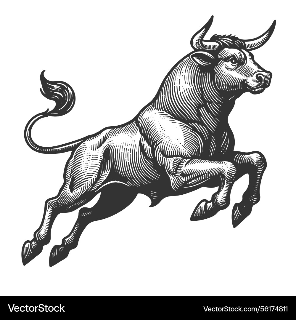 Bull Realistic Vector Images (over 1,000)