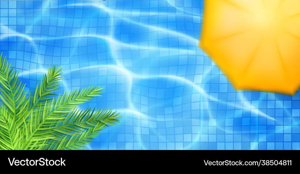 Swimming pool top view Royalty Free Vector Image