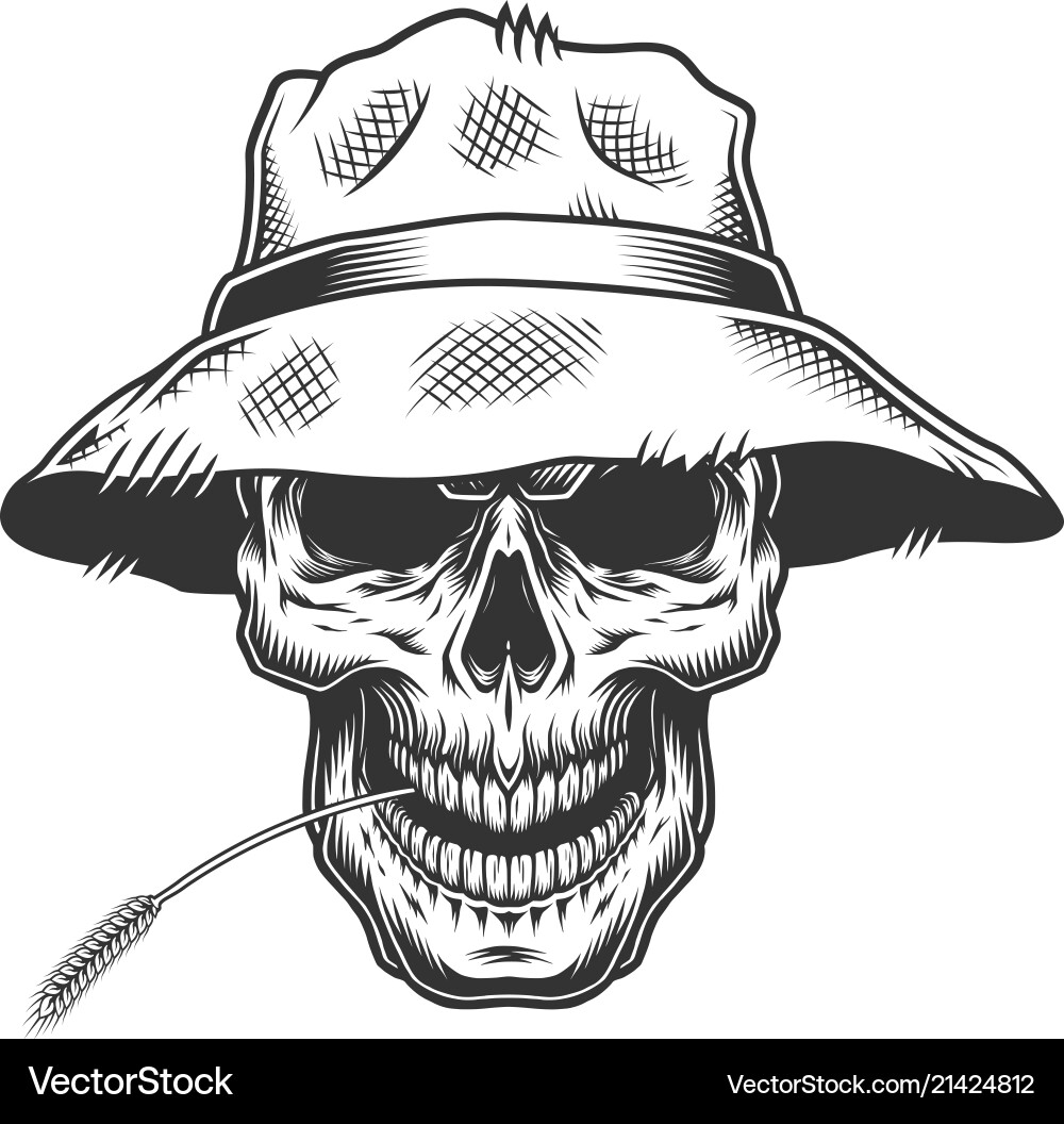 Skull in the straw hat Royalty Free Vector Image