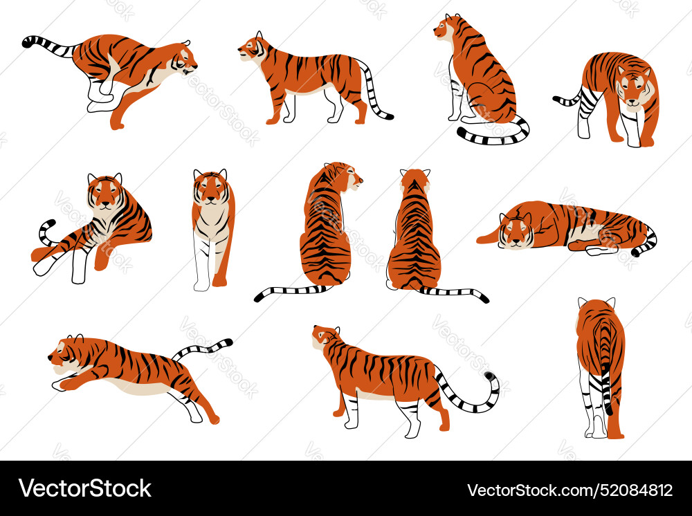Tiger wildlife animal icons Royalty Free Vector Image