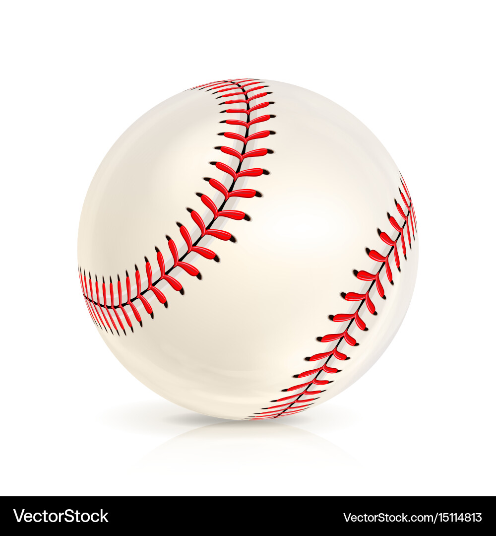 Baseball leather ball close-up isolated on white Vector Image
