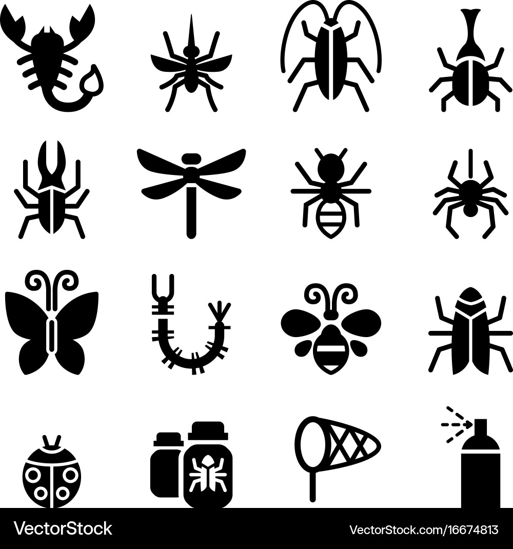 Bug insect icon Royalty Free Vector Image - VectorStock