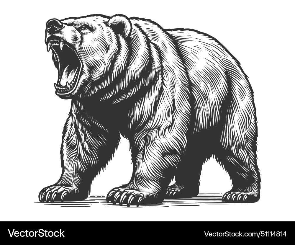 Ferocious bear roaring Royalty Free Vector Image