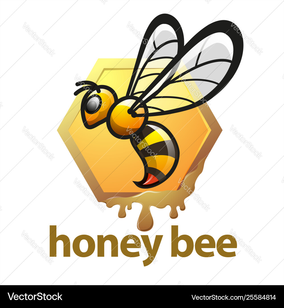 Honey bee Royalty Free Vector Image - VectorStock