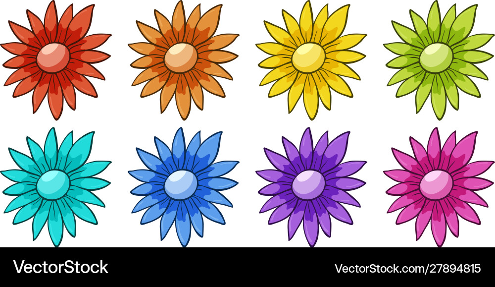 Isolated set flowers Royalty Free Vector Image