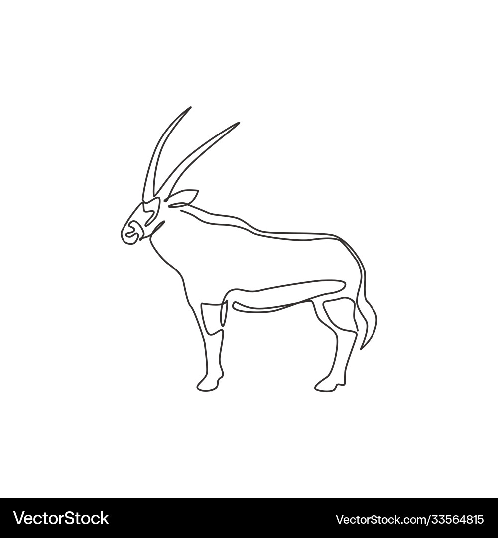 Oryx Drawing How To Draw A Beisa Oryx (Wild Animals) Step By Step ...