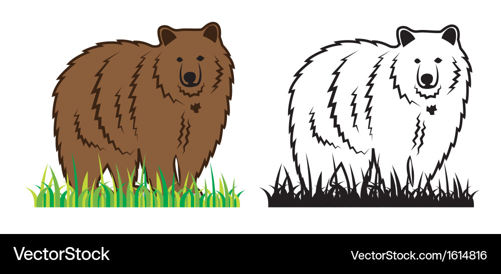 Bear Royalty Free Vector Image - VectorStock