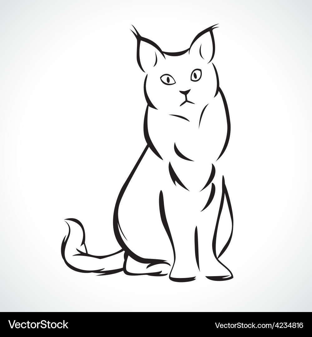 Cat Royalty Free Vector Image - VectorStock