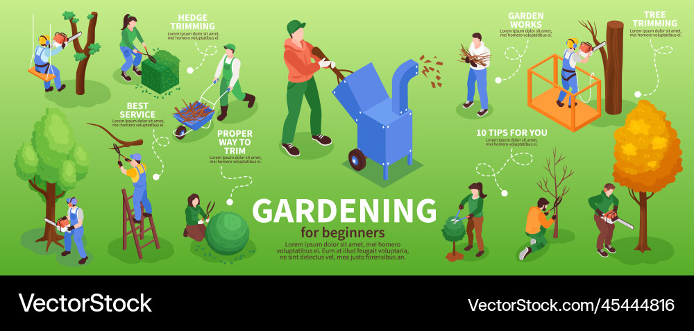 Horticulture Landscape Infographic Vector Images (over 370)